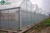 China Double Layer Green House for Cultivating Vegetable Fruits and Flowers for sale