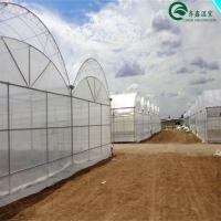 China Double Layer Green House for Cultivating Vegetable Fruits and Flowers for sale