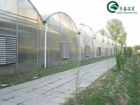 China Double Layer Green House for Cultivating Vegetable Fruits and Flowers for sale