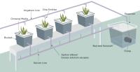 China PO The Ultimate Solution for Vertical Farming in Multi-Span Agricultural Greenhouses for sale