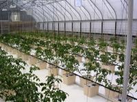 China PO Film Double Layer Hydroponic Container for Superior Plant Growth Results for sale