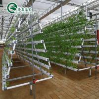 China PO Film Protected Indoor Hydroponic Growing Systems for Greenhouse for sale