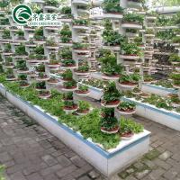 China Multi-Span Agricultural Greenhouses CO2 Generator for Greenhouse for sale