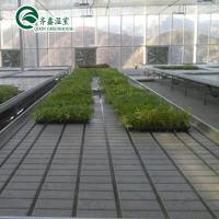 China Multi-Span Agricultural Greenhouses CO2 Generator for Greenhouse for sale