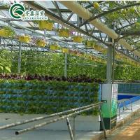 China Multi-Span Agricultural Greenhouses CO2 Generator for Greenhouse for sale