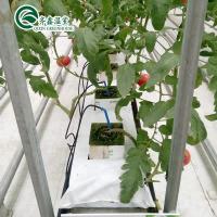 China PO Film Protected Indoor Hydroponic Growing Systems for Greenhouse for sale