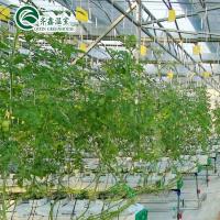China PO Film Protected Indoor Hydroponic Growing Systems for Greenhouse for sale