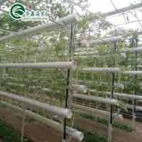 China Film Cover Double Layer Hydroponics Grow Kit System for Greenhouse for sale