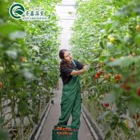 China Film Cover Double Layer Hydroponics Grow Kit System for Greenhouse for sale