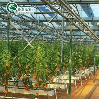 China Film Cover Double Layer Hydroponics Grow Kit System for Greenhouse for sale