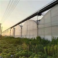 China PO Single Layer Greenhouse for Agriculture Boost Agricultural Production for sale