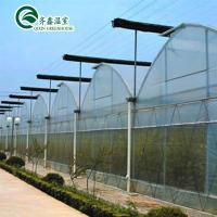 China Customized Multi-span Vegetable Grow Tunnel Greenhouse for Vegetable Cultivation for sale