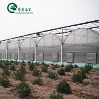 China Customized Multi-span Vegetable Grow Tunnel Greenhouse for Vegetable Cultivation for sale