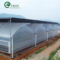 China Customized Multi-span Vegetable Grow Tunnel Greenhouse for Vegetable Cultivation for sale