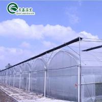 China Multi-Span Greenhouse Film Customized for UV Protection and Optimal Growing Conditions for sale