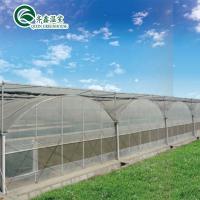 China Multi-Span Greenhouse Film Customized for UV Protection and Optimal Growing Conditions for sale