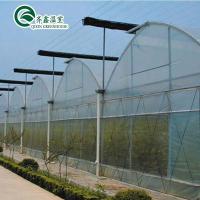 China Ventilation Vents for Optimal Growth of Tomatoes and Other Vegetables in Greenhouse for sale