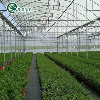 China Ventilation Vents for Optimal Growth of Tomatoes and Other Vegetables in Greenhouse for sale