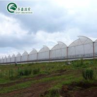 China Ventilation Vents for Optimal Growth of Tomatoes and Other Vegetables in Greenhouse for sale