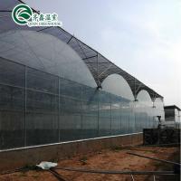 China Revolutionize Agriculture Inside and Outside Shading System for Hydroponic Greenhouse for sale