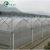 China Double-Layer Hydroponic Greenhouse for Growing Tomatoes in Controlled Environment for sale