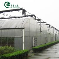 China Double-Layer Hydroponic Greenhouse for Growing Tomatoes in Controlled Environment for sale
