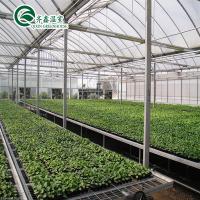 China Double-Layer Hydroponic Greenhouse for Growing Tomatoes in Controlled Environment for sale