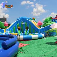 China Frog Inflatable Water Slide Double Lane Outdoor Water Park for Kids Commercial Use for sale