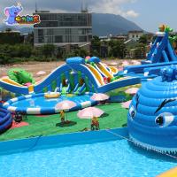 China Frog Inflatable Water Slide Double Lane Outdoor Water Park for Kids Commercial Use for sale