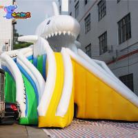 China Inflatable Water Slide Shark Theme Outdoor Water Park Pool with Anti-Slip Track 3m for sale