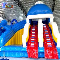 China Giant Inflatable Whale Water Slide for Kids 3-12 Years with Dual Slides and Safety Guardrails for sale