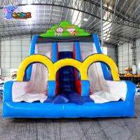 China Animal Themed Inflatable Water Slide for Kids with 2 Channels and 50,000 Sq Ft Factory for sale