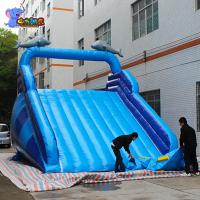 China Inflatable Dolphin Water Slide 20 Ft Outdoor Pool Park for Kids 3-12 CE Certified for sale