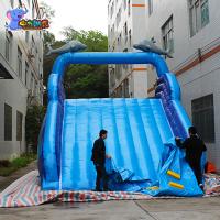 China Inflatable Dolphin Water Slide 20 Ft Outdoor Pool Park for Kids 3-12 CE Certified for sale