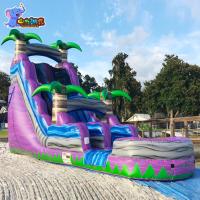 China Thickened PVC Inflatable Palm Tree Water Slide for Kids 30cm Cushion 0.8mm for sale