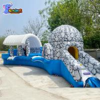 China Penguin Theme Inflatable Water Slide 0.55mm PVC Outdoor Kids Play Park for sale