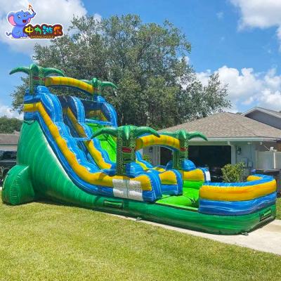 China Outdoor Inflatable Water Slide Double Slides for Kids 3-12 Years Tropical Theme for sale