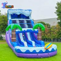 China Outdoor Inflatable Water Slide Double Slides for Kids 3-12 Years Tropical Theme for sale