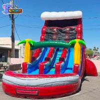 China Outdoor Inflatable Water Slide Double Lane Racing with Pool for Kids 3-12 Years 0.55mm PVC for sale