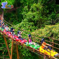 China Factory Customization Double Track Roller Coaster Large Amusement Equipment for sale