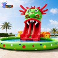 China Customizable Inflatable Water Slide 10m Dual Lane Dragon Theme Park PVC for sale