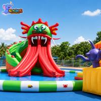 China Customizable Inflatable Water Slide 10m Dual Lane Dragon Theme Park PVC for sale