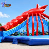 China Inflatable Water Slide Lobster Shaped PVC Bounce Slide for Outdoor Park 2.5m Height for sale