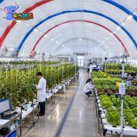 China Custom Agricultural Research Air Dome Air Supported Growing Facility for Plant Research Hydroponics and Controlled Environment Agriculture for sale