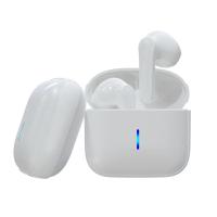 China TWS Bluetooth 5.1 Earphones Waterproof Wireless Earphones With Ear Hooks for sale