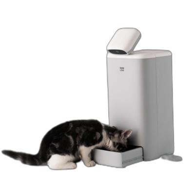 China Automatic Tracking Smart Pet Companion Robot 110 Degree Vertical Rotation for sale