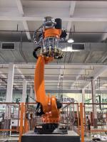 China Double Line Automatic Palletizing System 220V Face To Face Industrial Palletizer for sale