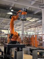 China Double Line Automatic Palletizing System 220V Face To Face Industrial Palletizer for sale