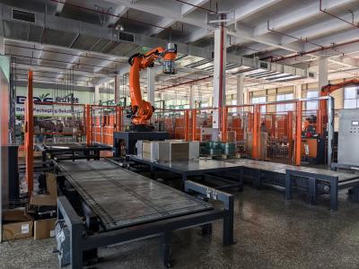 China LDPE HDPE Automatic Palletizing System PE  Palletizing Robot With Partition for sale