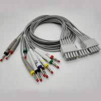 China Mortara Compatible Sports Recorder Holter ECG Cable 10 Lead Bananas for sale
